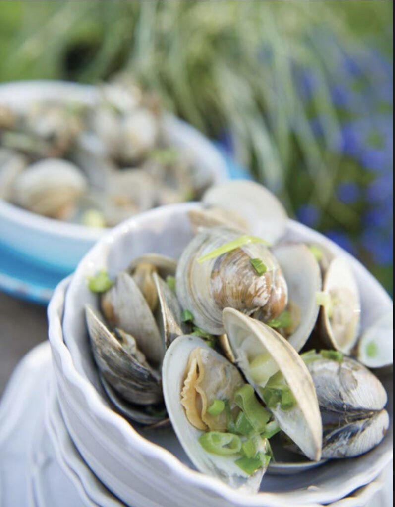 Summer Clams – Eric Theiss